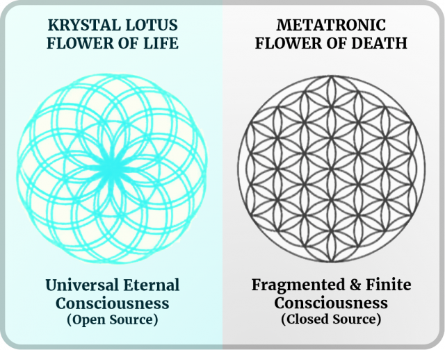 Artificial Flower of Life - Ascension Glossary