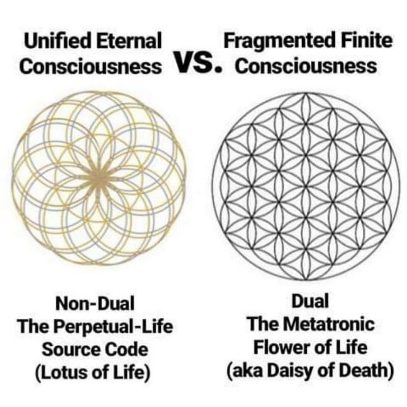 Metatronic Reversal - Ascension Glossary