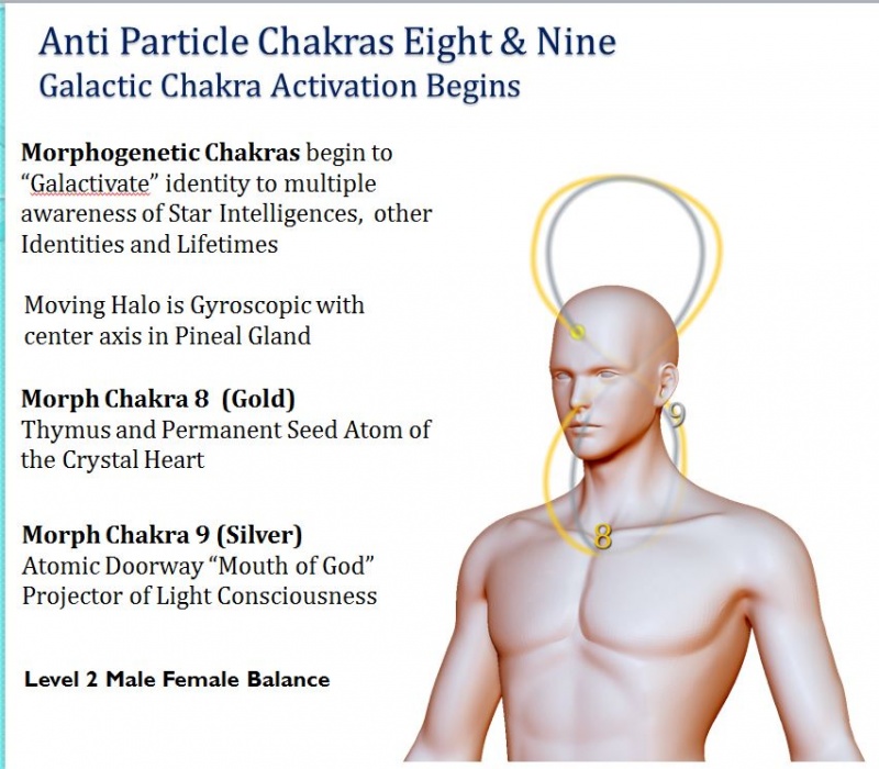 9th Chakra - Ascension Glossary
