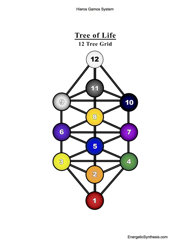 12 Tree Grid - Ascension Glossary