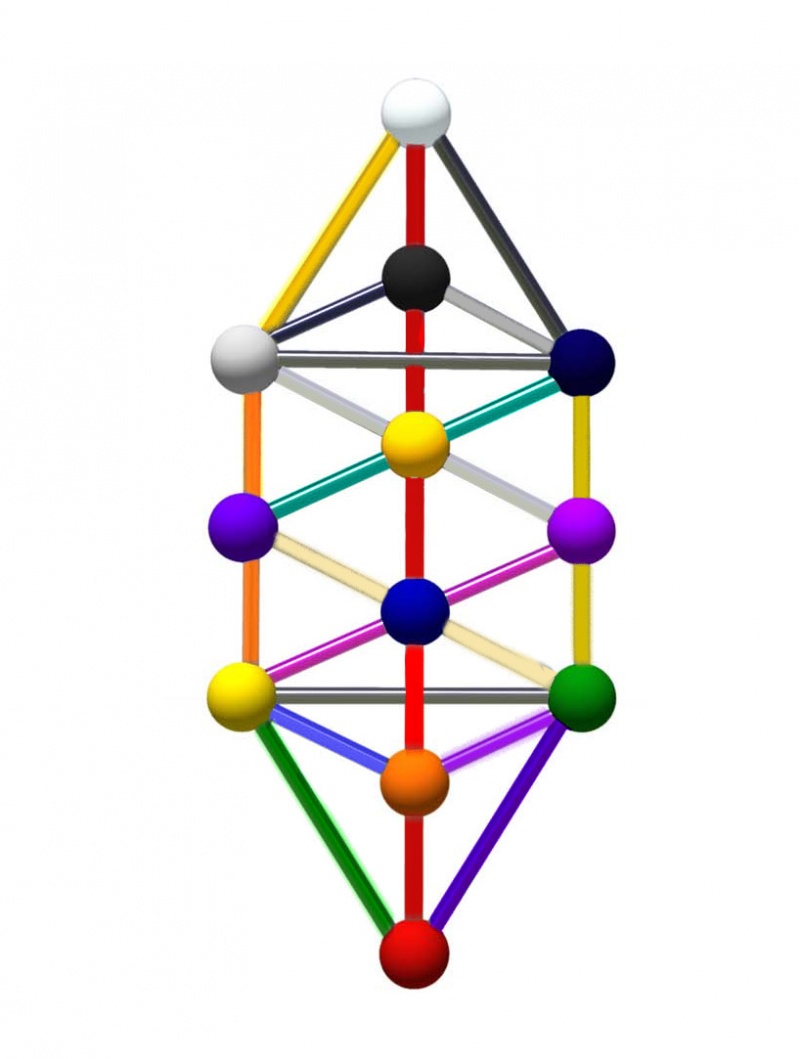 Morphogenetic Field - Ascension Glossary