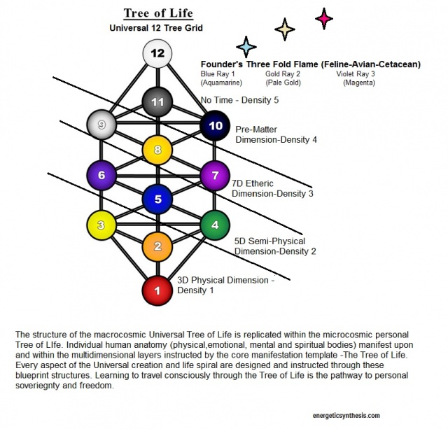 Universal Tree of Life - Ascension Glossary